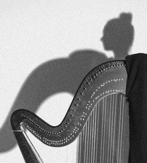 What's on | The Queen's Hall